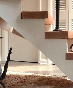 DC Hillier's MCM Daily - The Garcia House